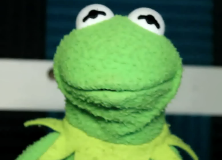 Kermit sends twitter a video message… | Kevin Healey BCAv Autism Campaigner